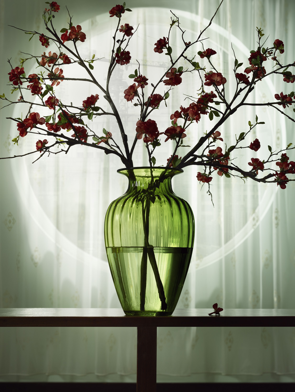 Shanghai 2017 | Erwin Olaf